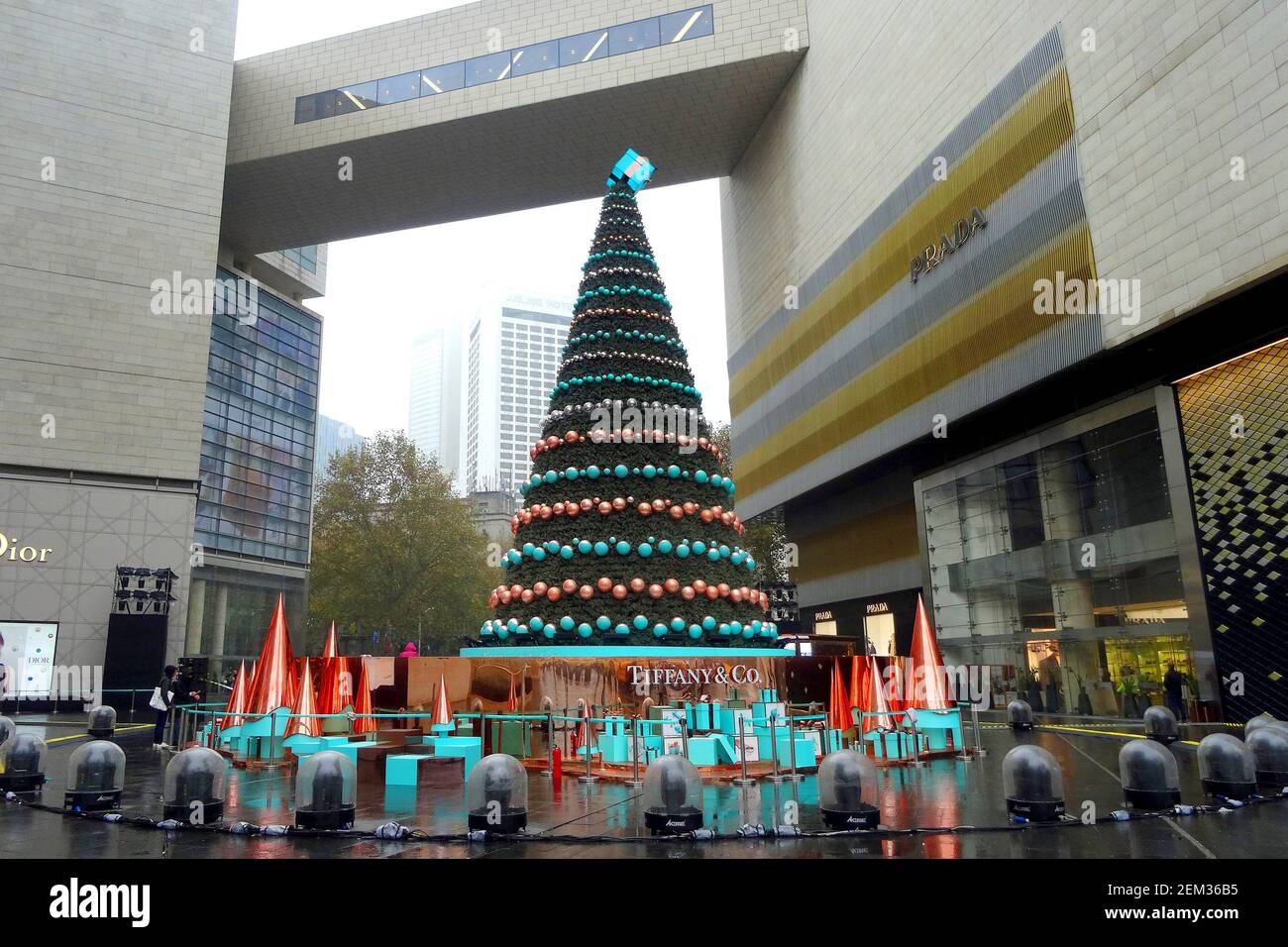 As the Christmas is coming, an enormous Christmas tree is decorated ...