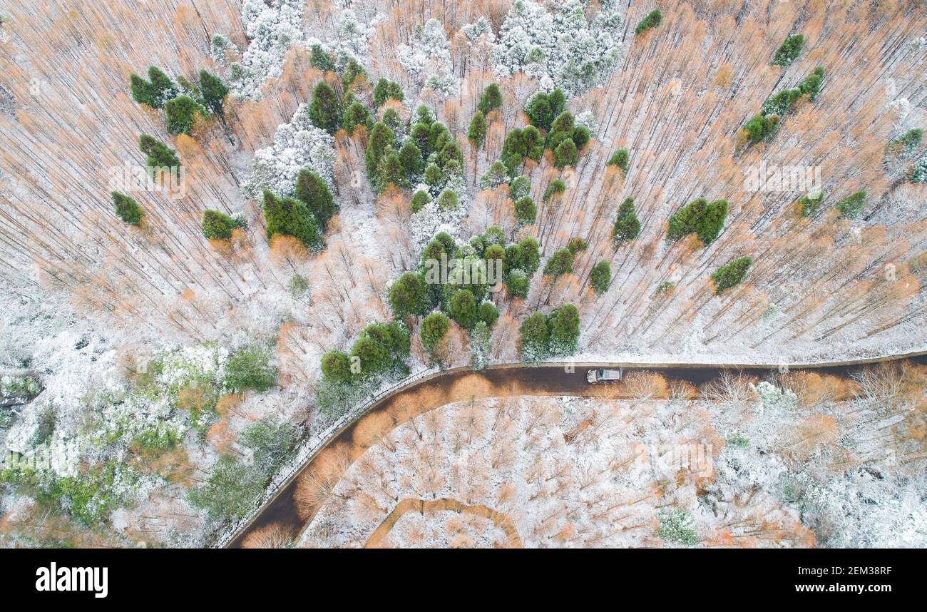CHONGQING, CHINA - DECEMBER 4, 2020 - Aerial photo taken of a forest on ...