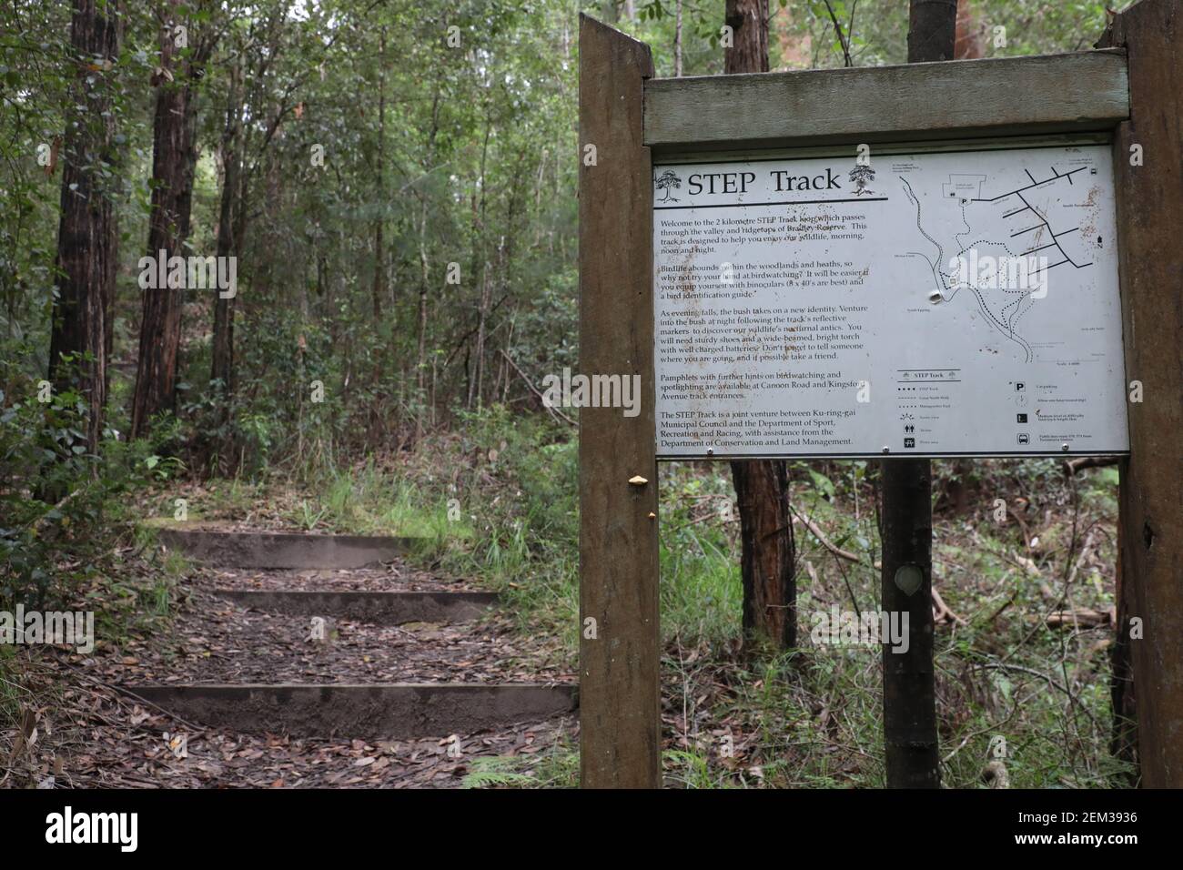 STEP Track, Lane Cove National Park, Sydney, NSW, Australia Stock Photo ...