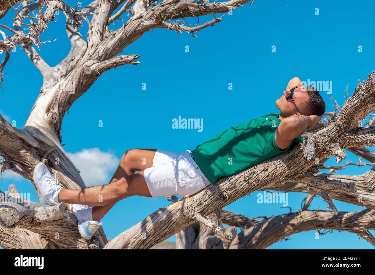 Happy guy on tree branches in shorts and shirt Stock Photo - Alamy Happy guy on tree branches in shorts and shirt Stock Photo - Alamy