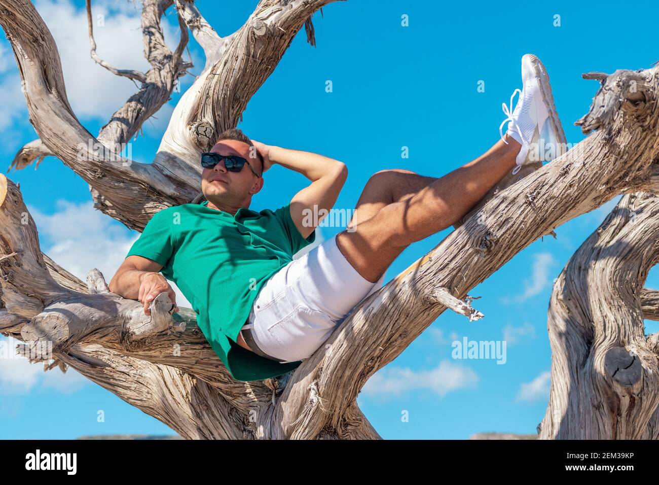 Man resting on tree branch hi-res stock photography and images - Alamy