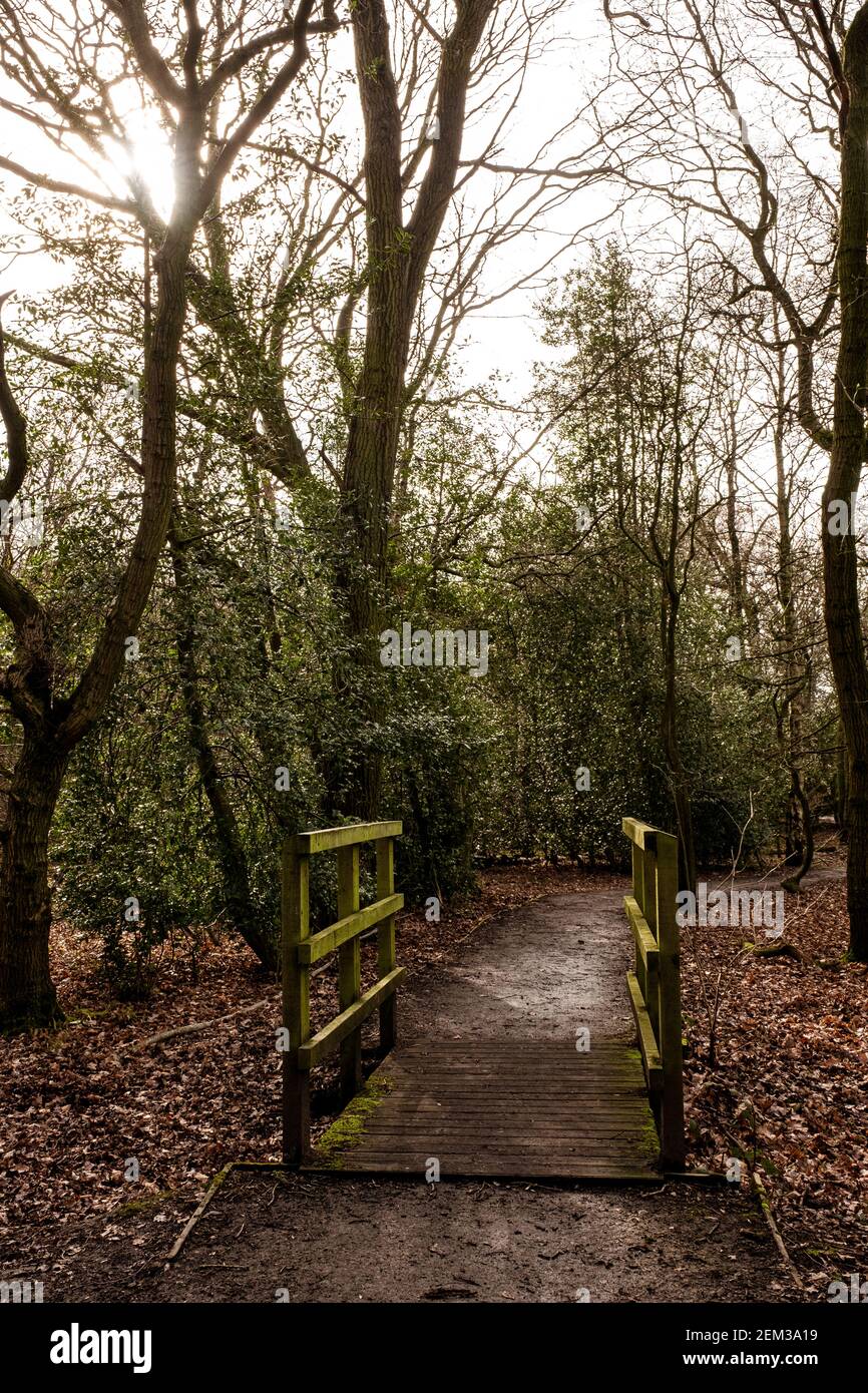 Wooden footbridge crossing a empty stream in Cheshire UK Stock Photo ...