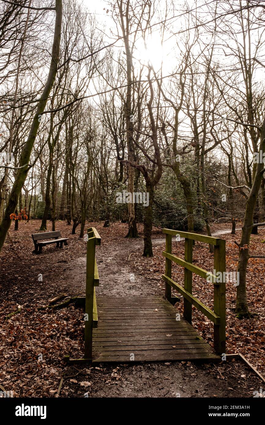 Wooden footbridge crossing a empty stream in Cheshire UK Stock Photo ...