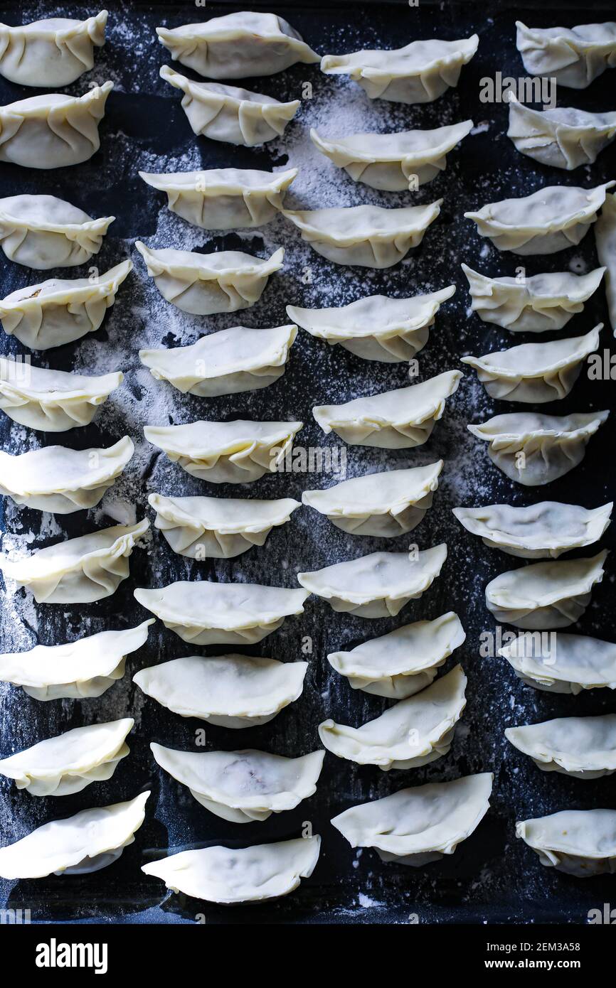 Gyoza dumplings on a tray Stock Photo - Alamy