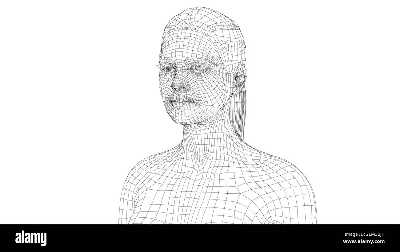 Wireframe portrait of a young beautiful girl Stock Vector Image & Art ...