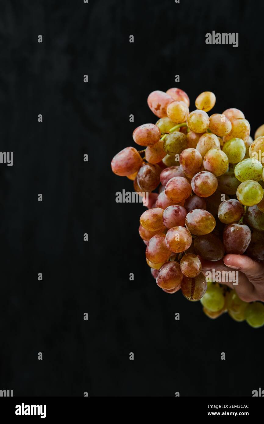 Fresh grapes with water drops on black background Stock Photo - Alamy
