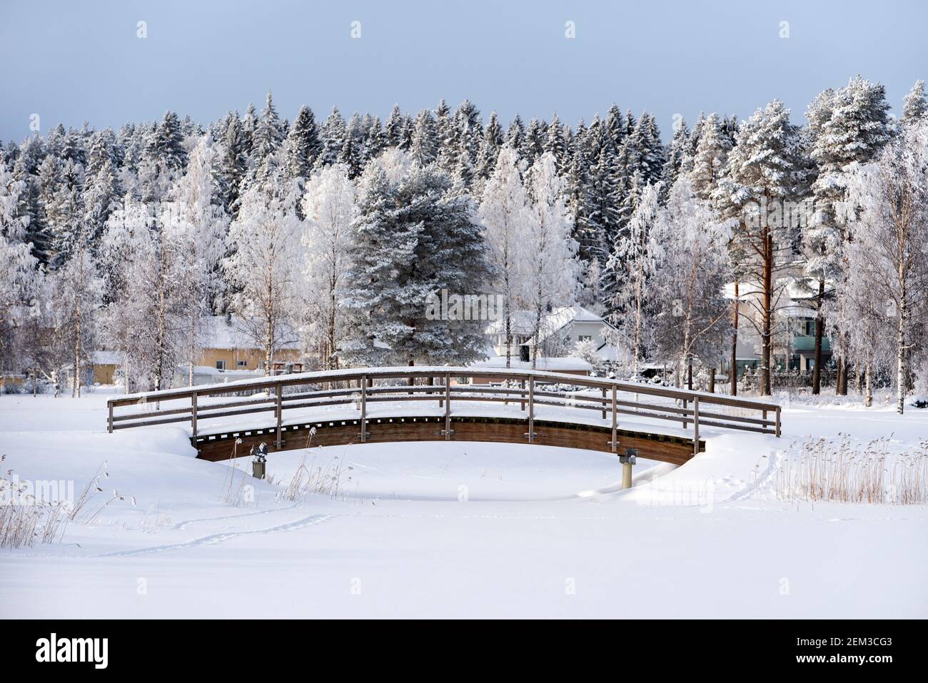 Wooden arch bridge on a beautiful winter landscape, trees covered with ...