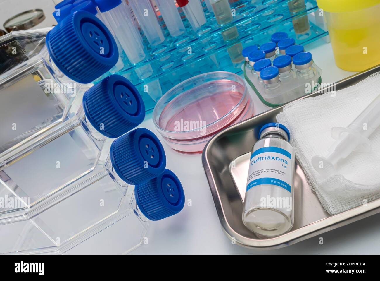 Ceftriaxone vial, is a broad spectrum cephalosporin for parenteral use ...