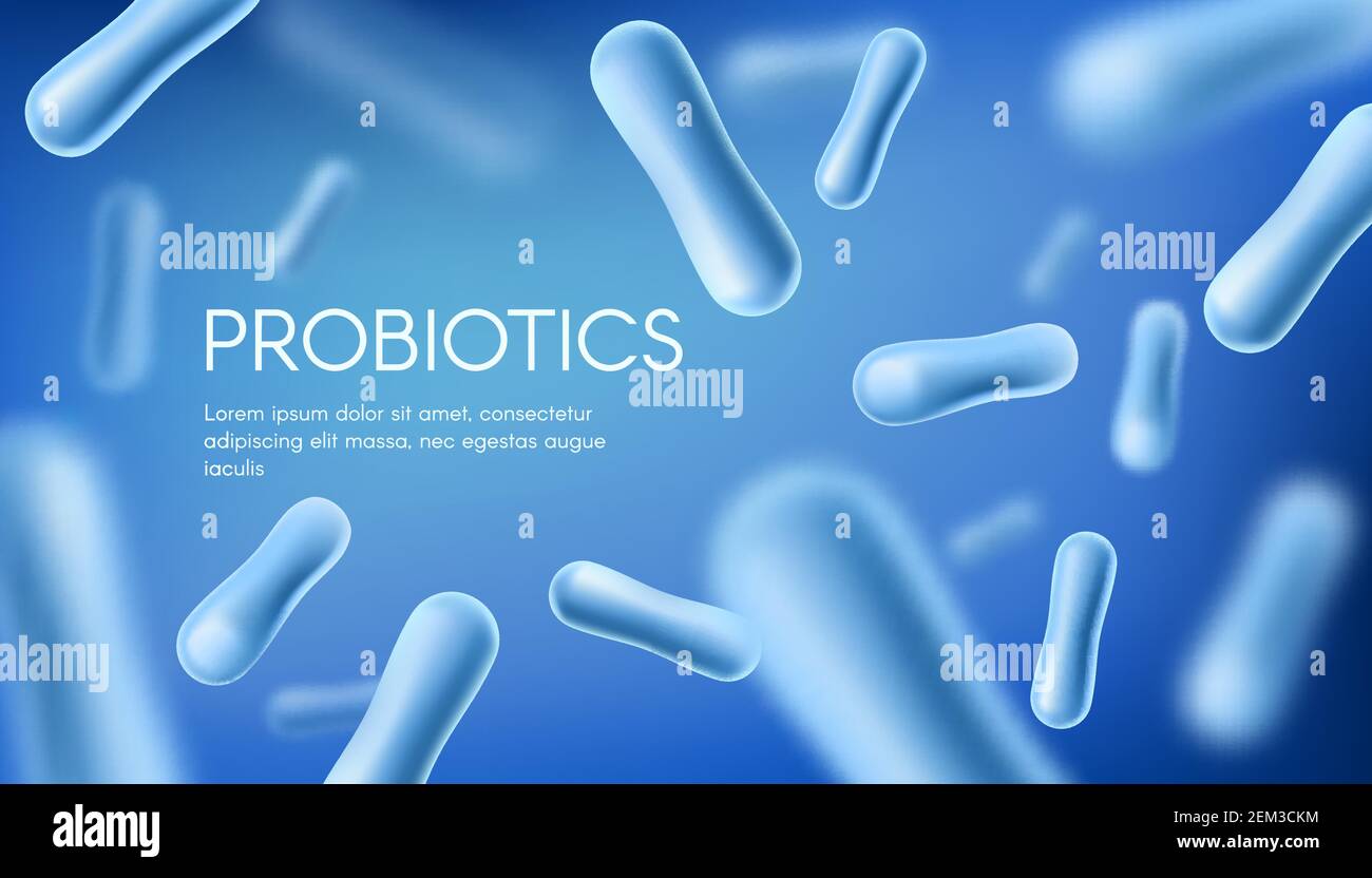Probiotics Vector Poster Lactobacillus Acidophilus Bacteria Cells On