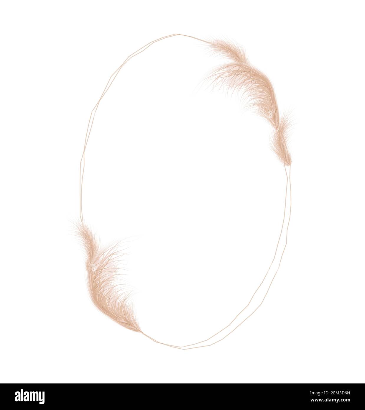 Pampas grass frame Cut Out Stock Images & Pictures - Alamy