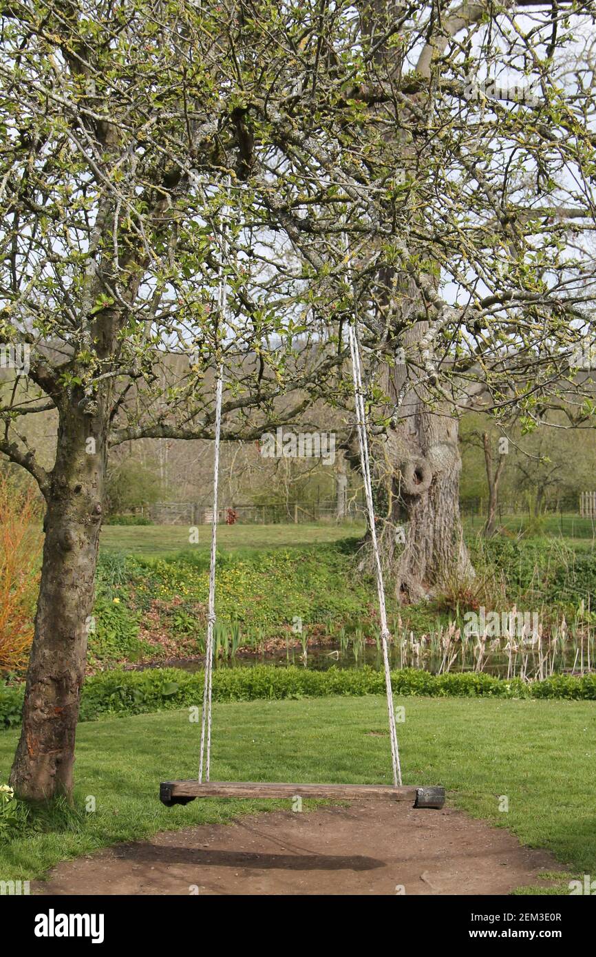A Large Garden Wooden Swing Hanging from a Tree Stock Photo - Alamy