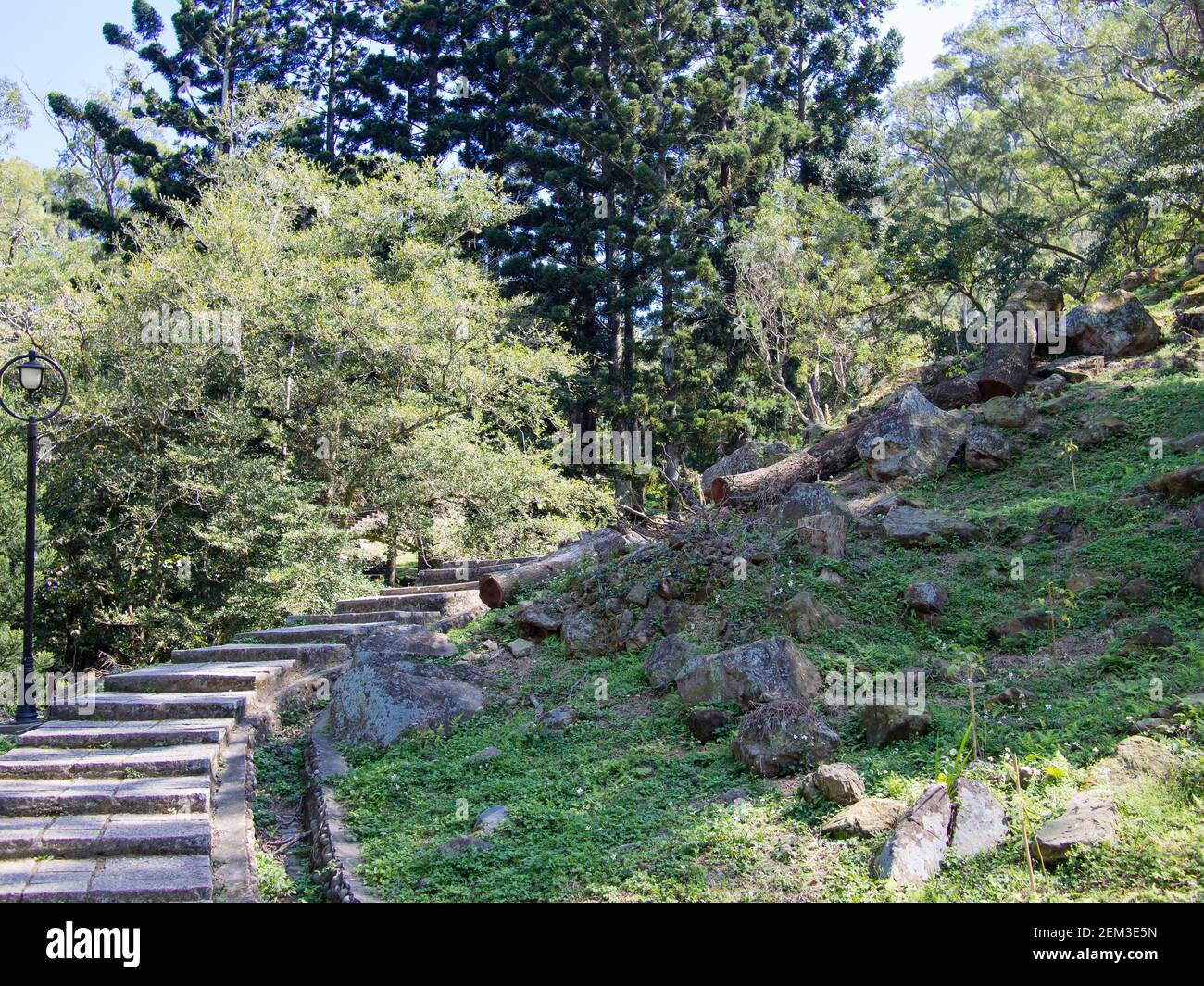 A peaceful and tranquil hiking path with a stone staircase Stock Photo ...