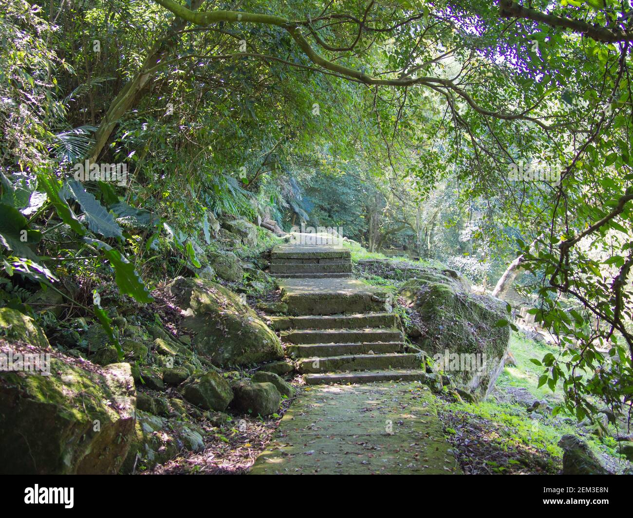 A peaceful and tranquil hiking path with a stone staircase Stock Photo ...