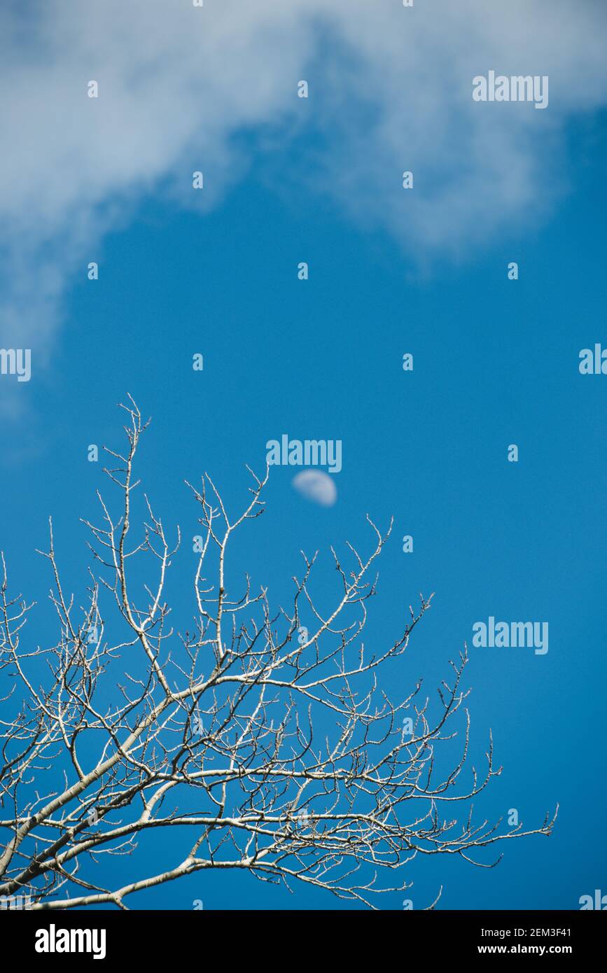 Blurred half moon on blue sky and clear clouds on daytime Stock Photo ...