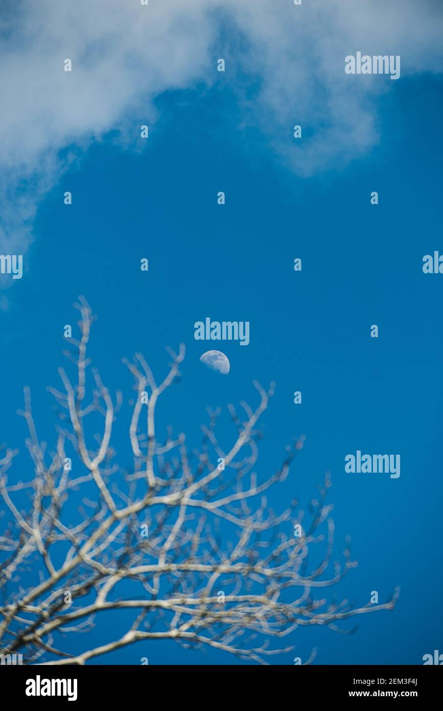 Blurred half moon on blue sky and clear clouds on daytime Stock Photo ...