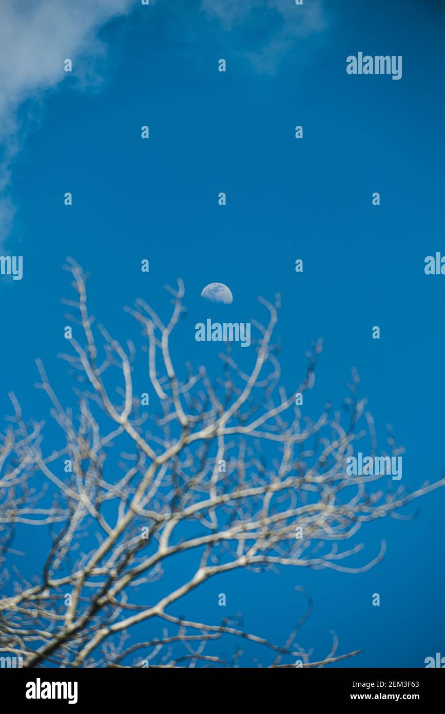 Blurred half moon on blue sky and clear clouds on daytime Stock Photo ...