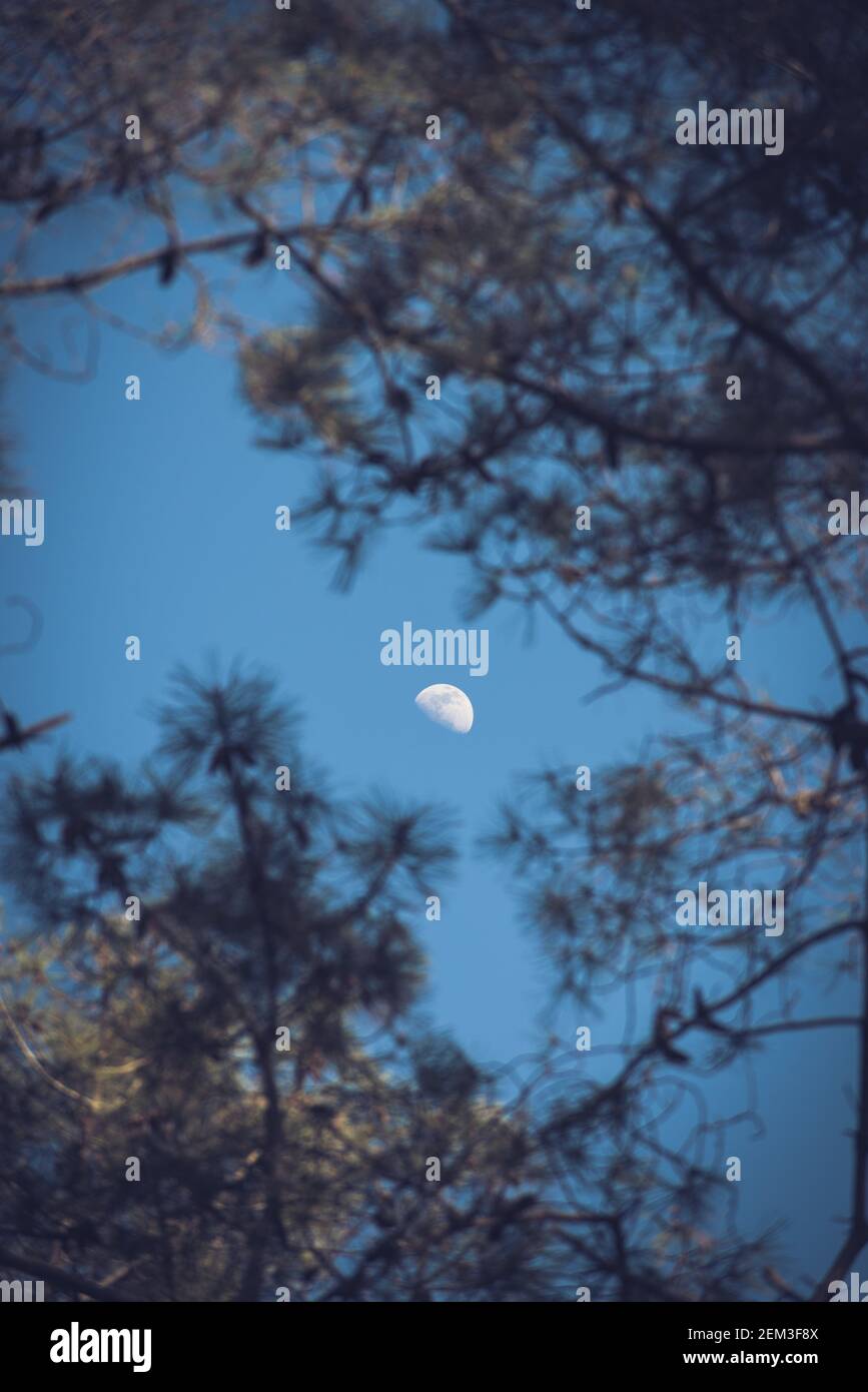 Blurred detail full moon hi-res stock photography and images - Alamy
