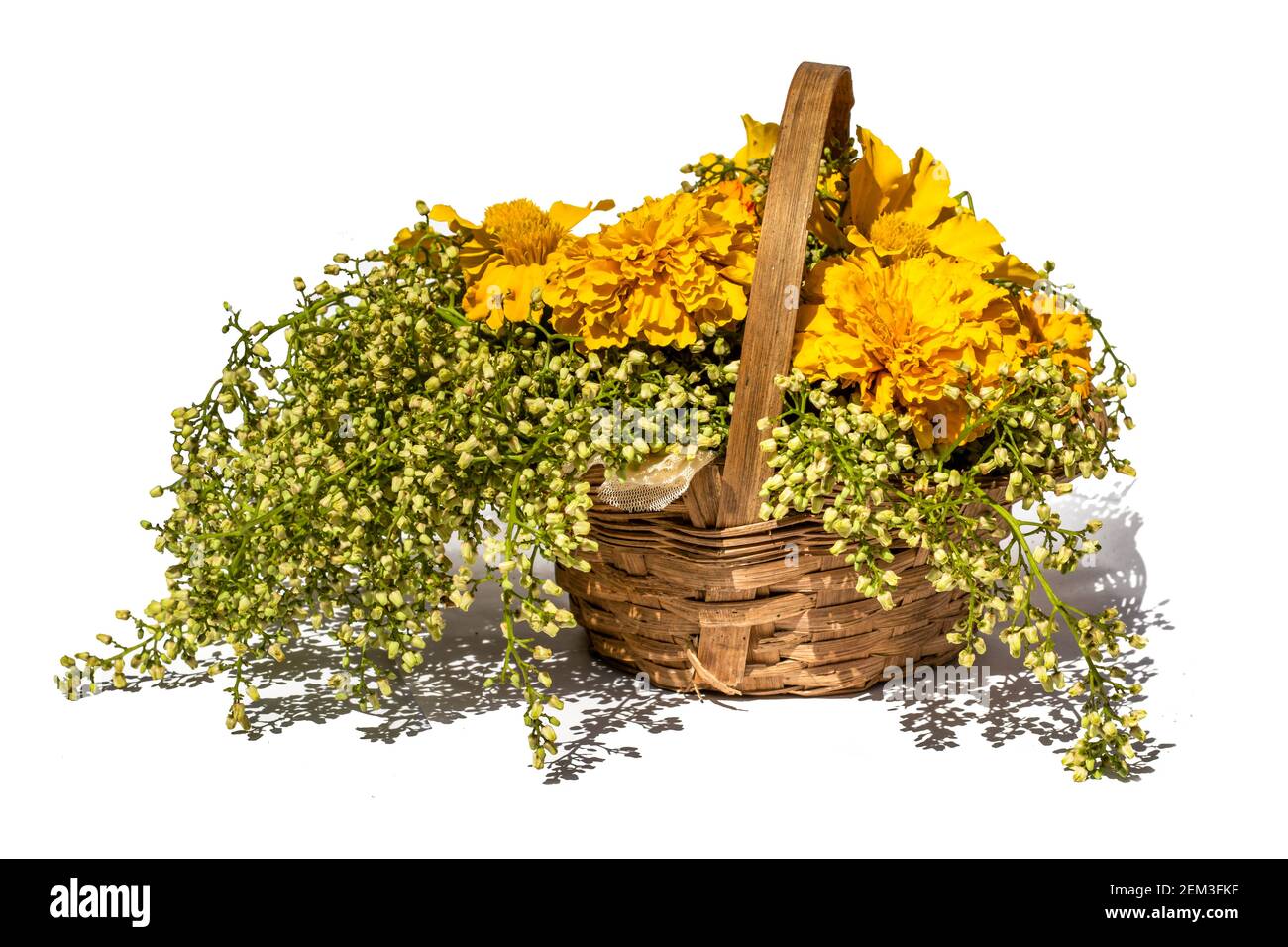 Bamboo handicrafts hi-res stock photography and images - Alamy