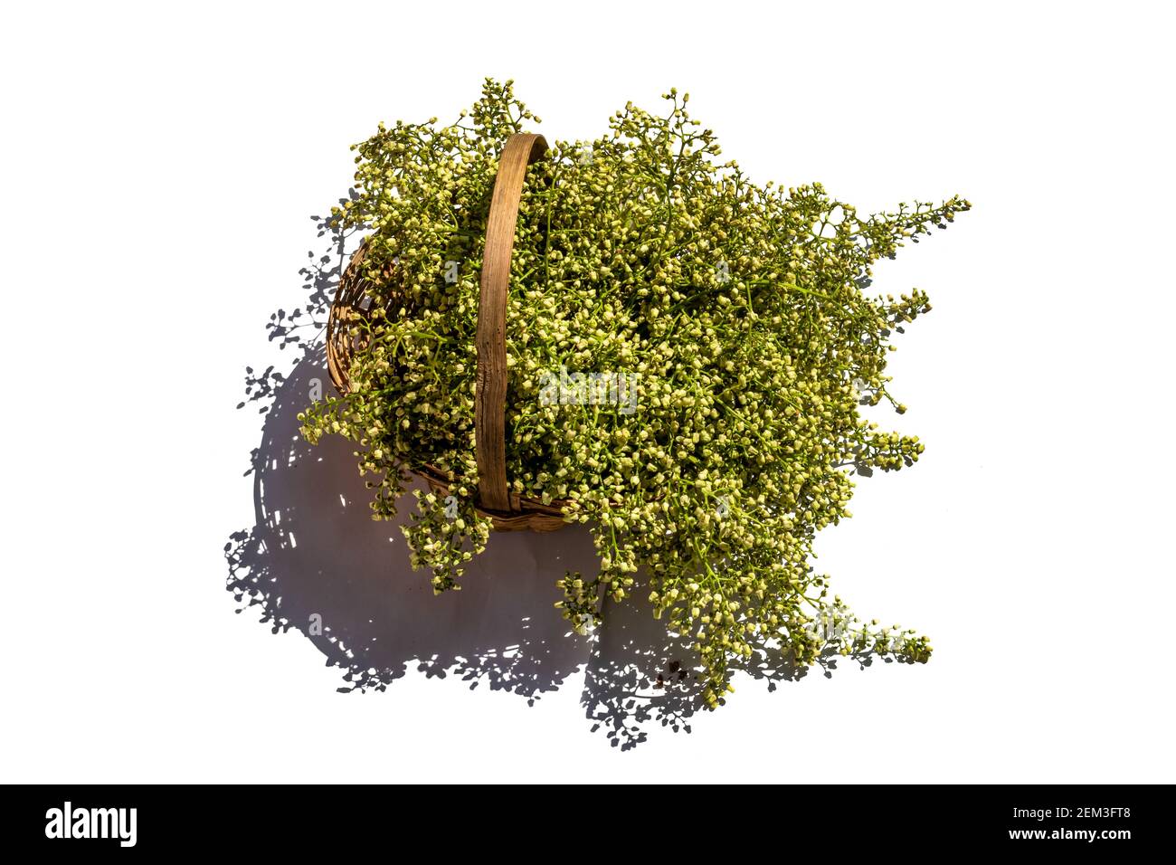 Flower Vase or Fuldani nature is beautiful and a perfect flower vase ...