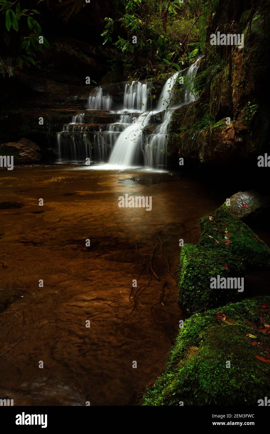 Tranquil cascading waterfall in lush bush land in the Blue Mountains ...