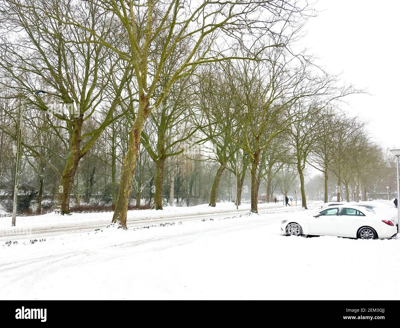 Winter in the streets of Delft Stock Photo - Alamy
