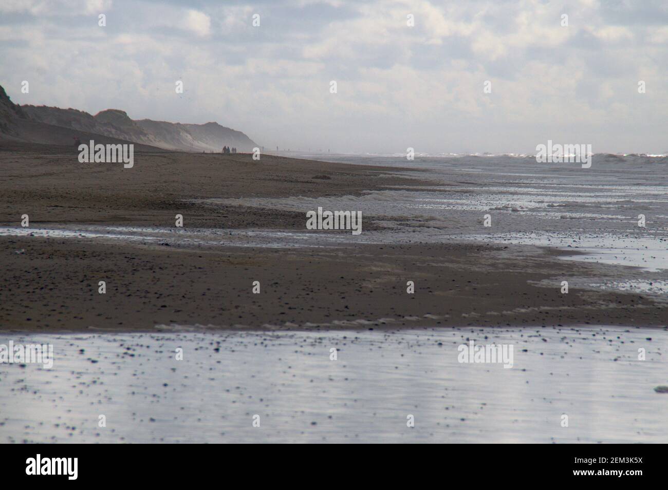 the endless shore with dunes of the north sea Stock Photo - Alamy the endless shore with dunes of the north sea Stock Photo - Alamy