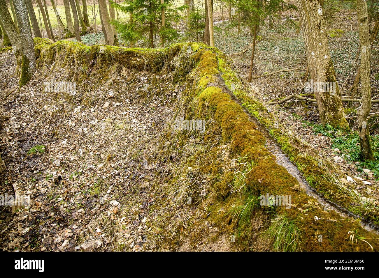 stone runnel near Rohrbach, Germany, Bavaria, Fraenkische Alb Stock ...