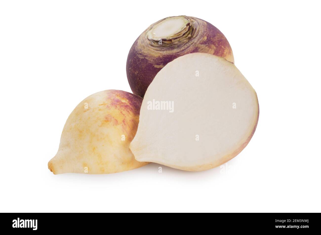 Studio shot of turnips cut out against a white background - John Gollop ...