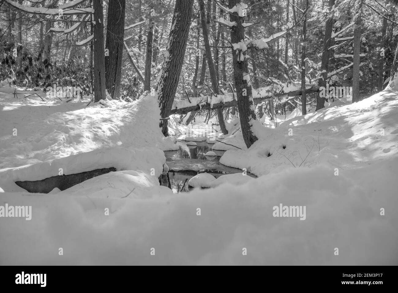 Snowy banks of Tubb Run, an old mountain stream Stock Photo - Alamy