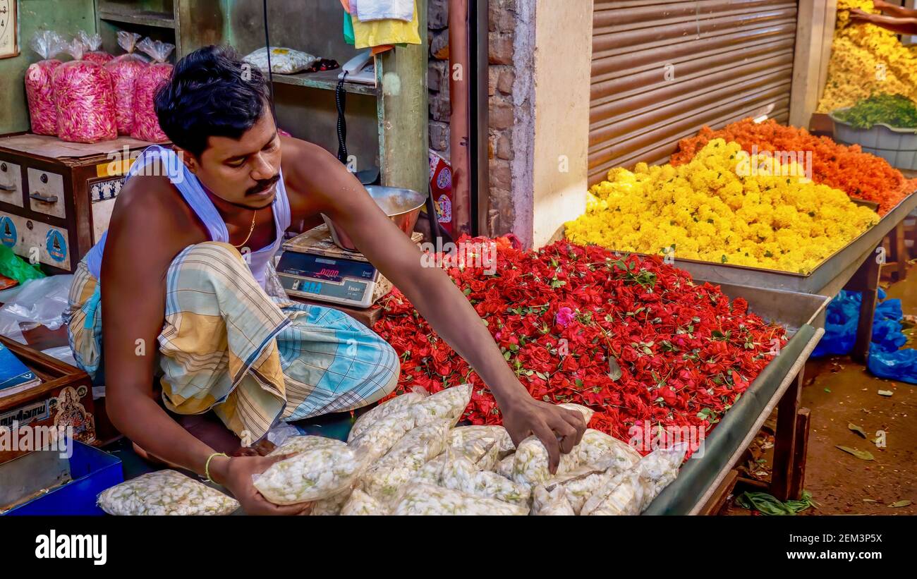 Pondicherry, India - Jan 17, 2016. An Indian flower vendor handles bags ...