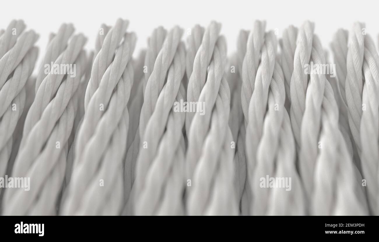 A microscopic close up view of a cross section of simple braided ...