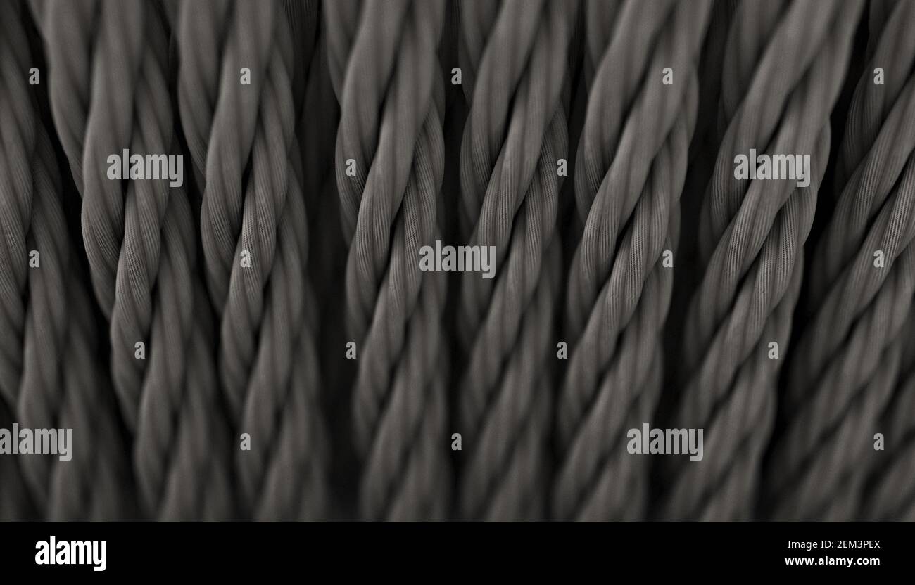 A microscopic close up view of a cross section of simple braided ...
