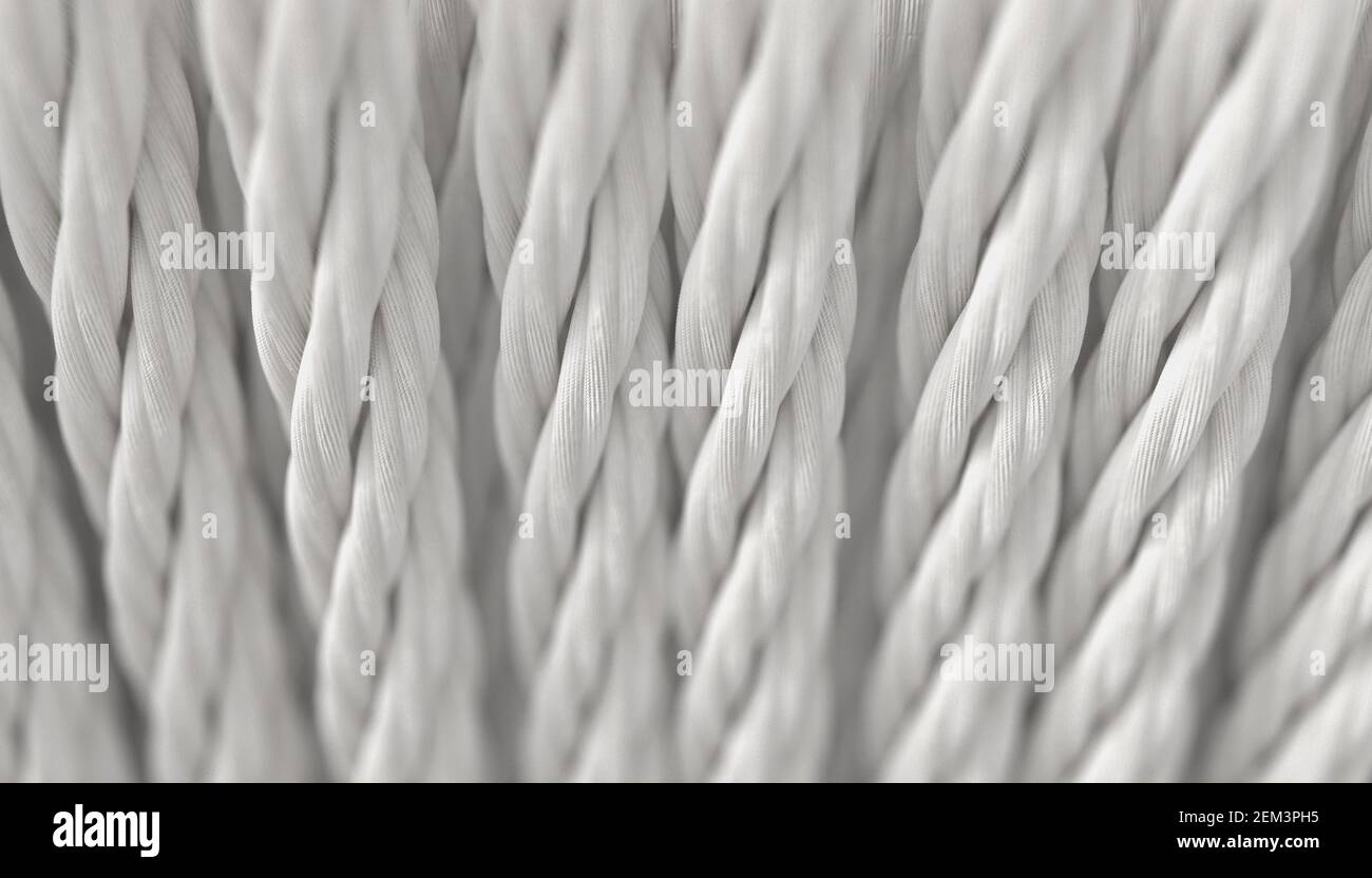 A microscopic close up view of a cross section of simple braided ...