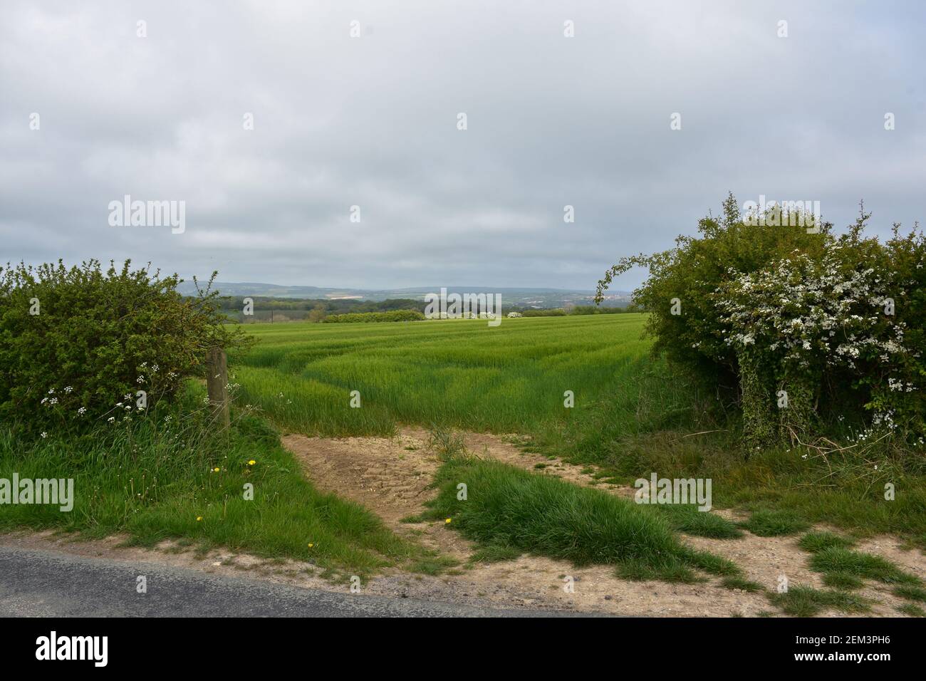 Northern England with beautiful landscape and rolling green fields ...