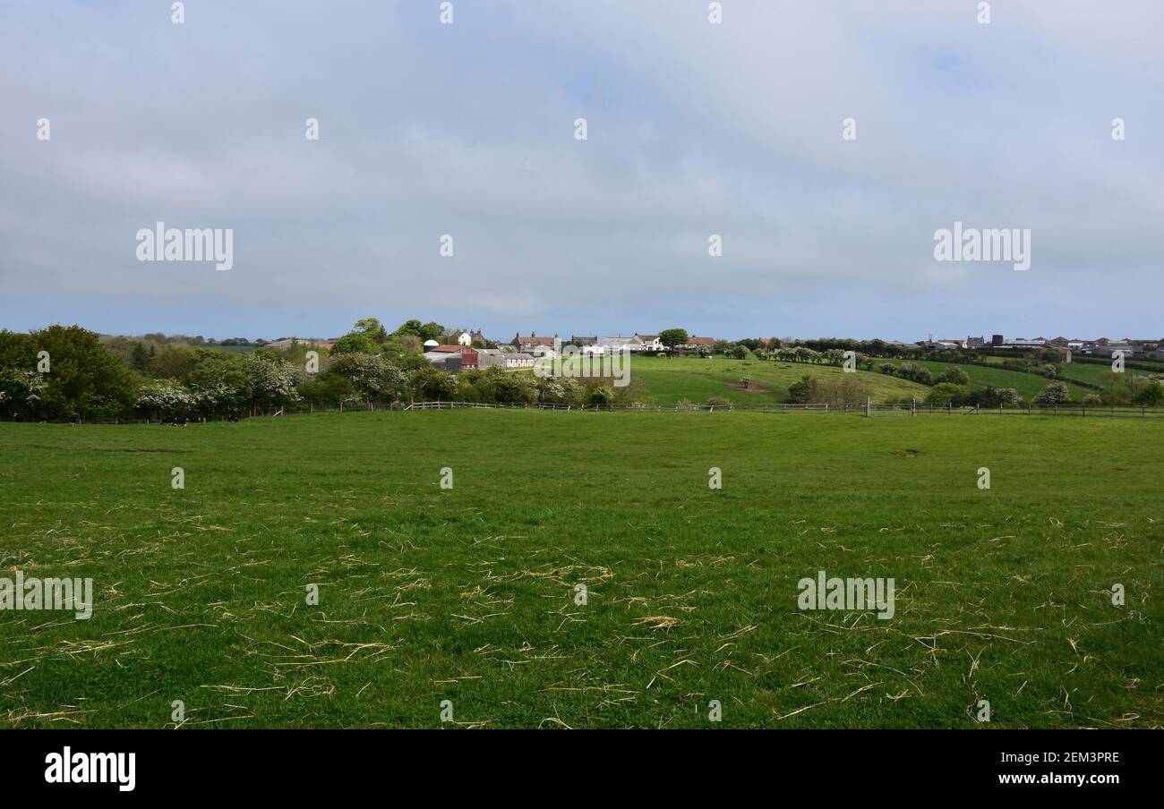 Lush green pastures with rural and remote farm buildings Stock Photo ...