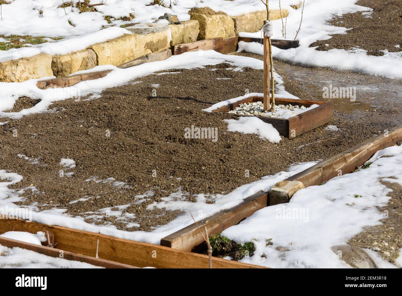 Mulching vegetable plot hi-res stock photography and images - Alamy