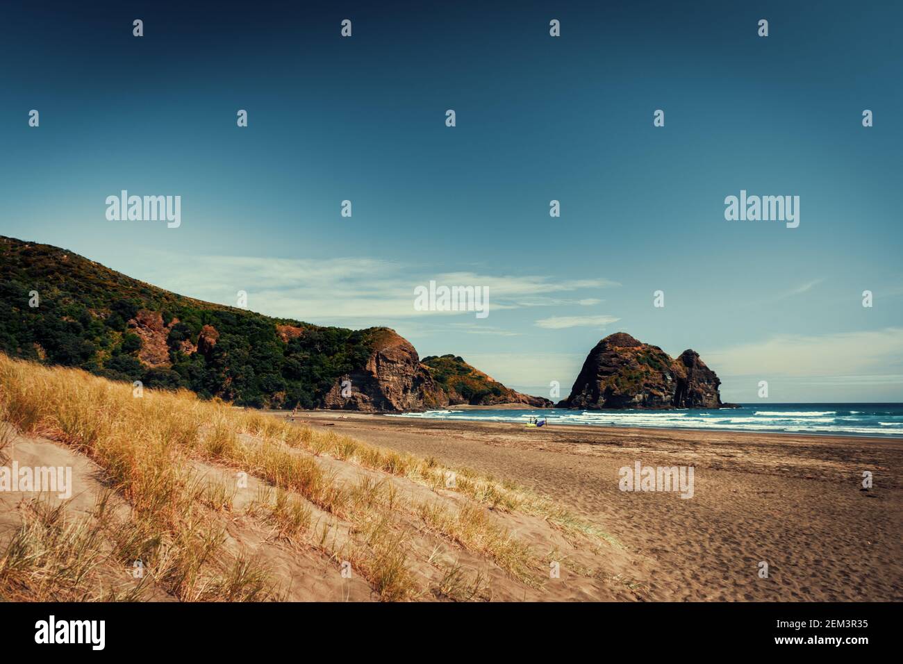 The lovely Piha beach around the famous Lion Rock, New Zealand Stock ...