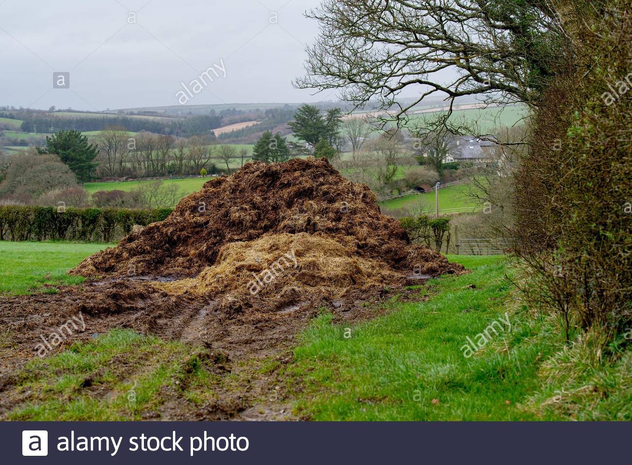 Animal Droppings Uk High Resolution Stock Photography and Images - Alamy