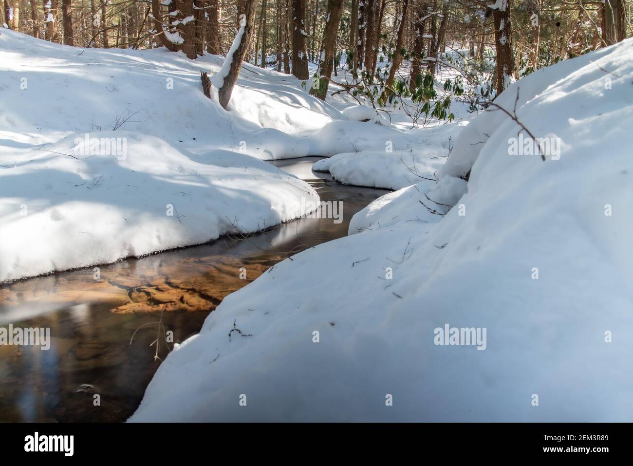 Deep and narrow channels of water through a snowy forest landscape ...