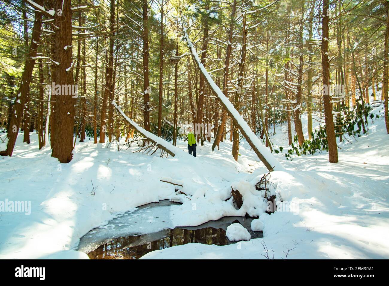 Tall trees, deep snow and some winding waterways make for a winter ...