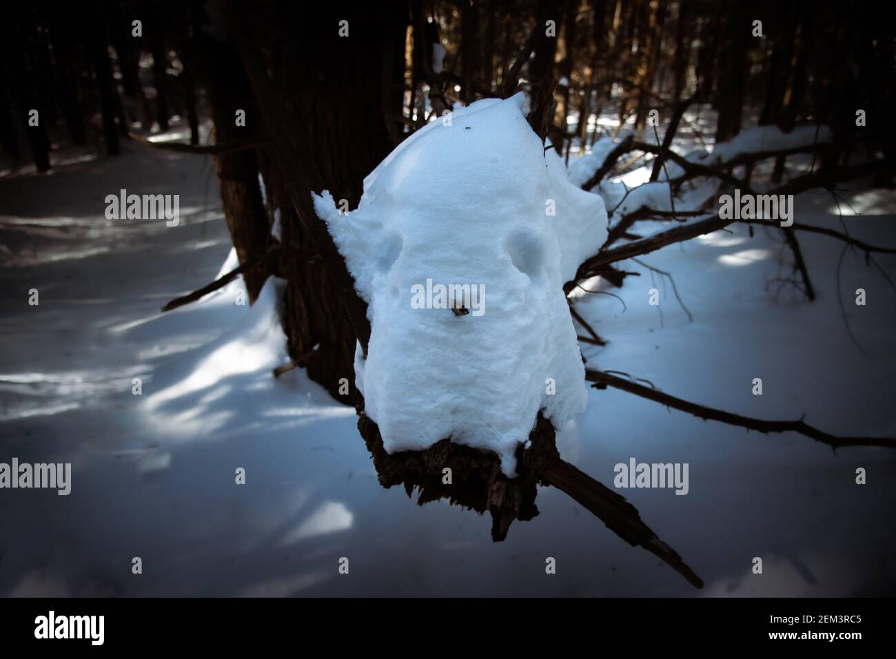 Pennsylvania game lands hi-res stock photography and images - Alamy