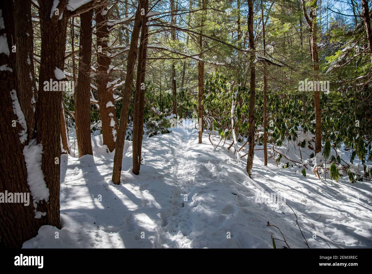 Foot trail hi-res stock photography and images - Alamy