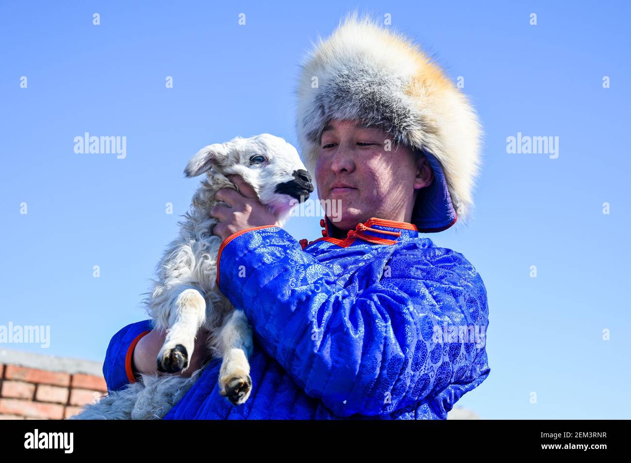 Lamb approach hi-res stock photography and images - Alamy