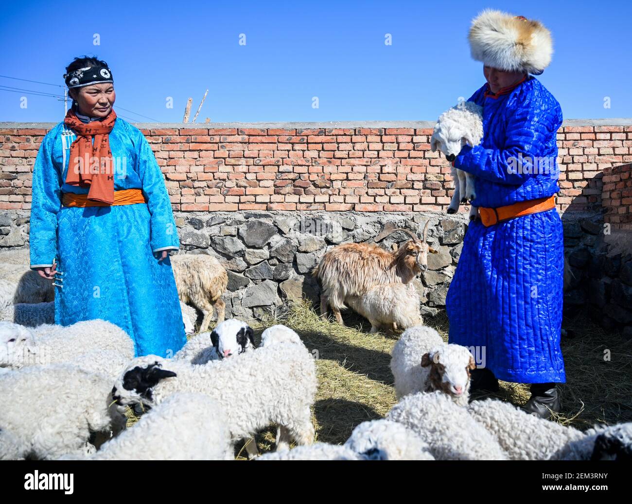 Shepherds approach hi-res stock photography and images - Alamy