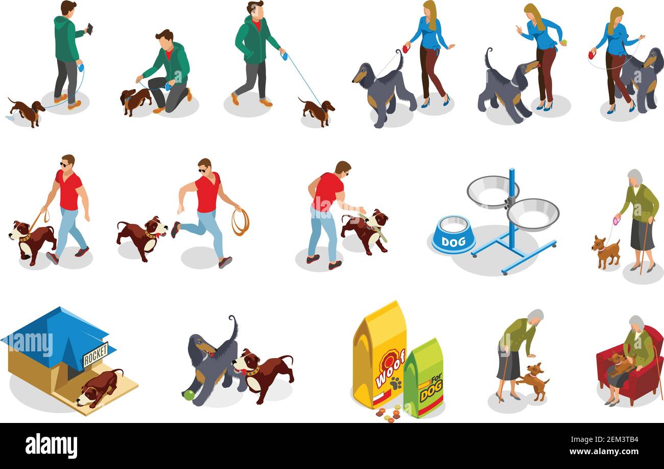 Ordinary life of dog and owner isometric icons with pet training ...