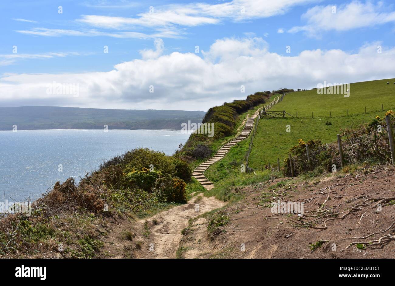 Stunning dirt path along the sea cliffs of England Stock Photo - Alamy
