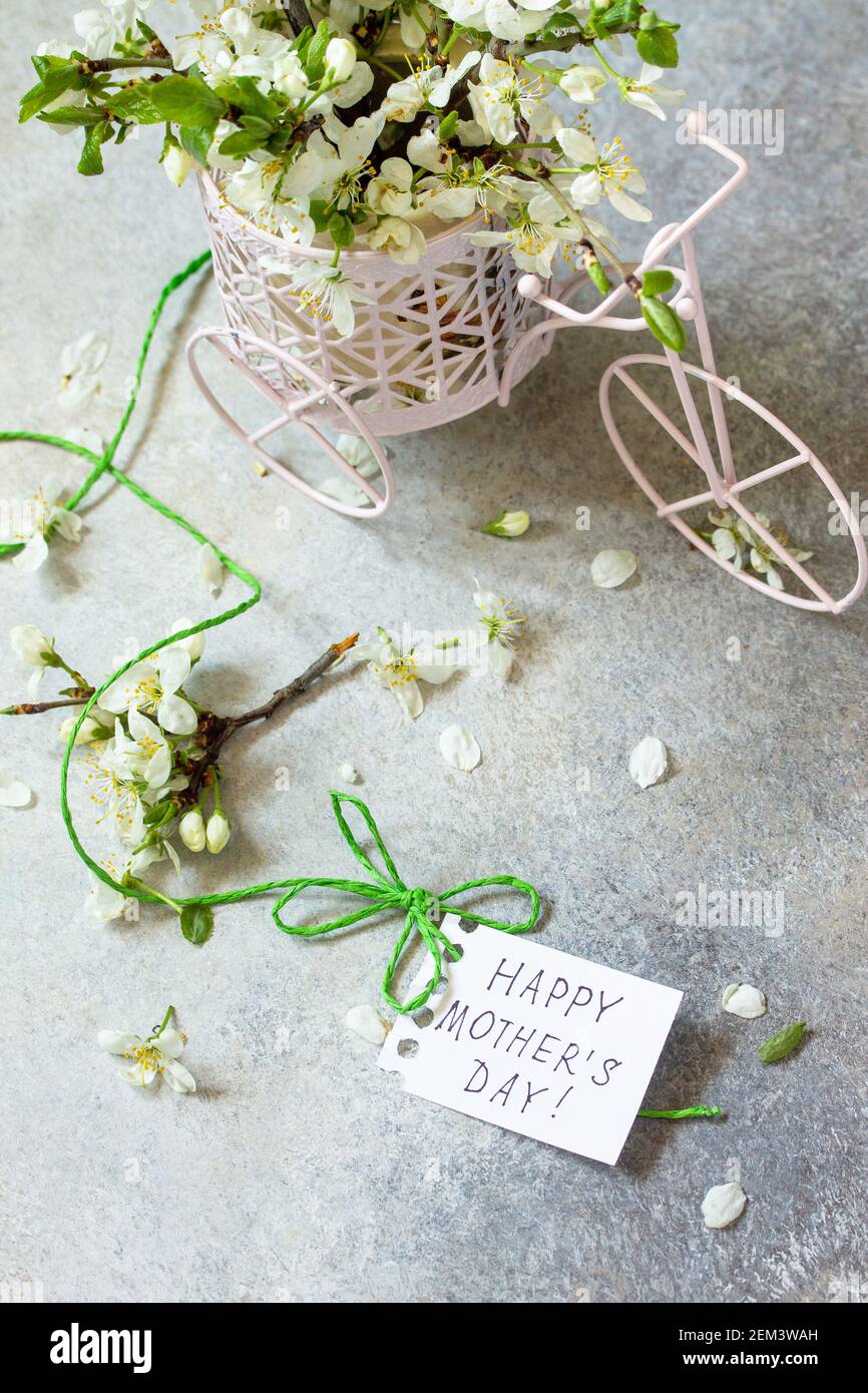 Greeting card for mother's day, womens day. Blooming cherry branch and ...