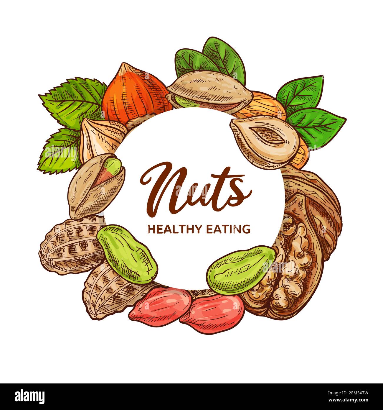 Nuts and legume beans vector sketch of food design. Peanut, almond and ...