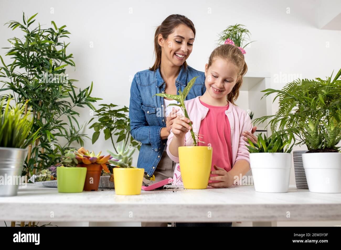 Teenage girl holding a plant with reaching young roots that is ready to ...