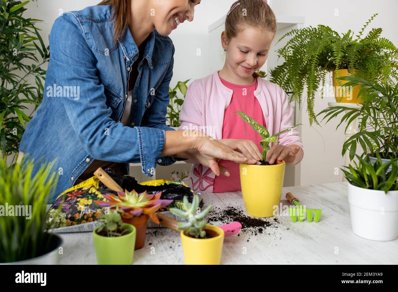 Mom and her daughter having some potting action as they are placing ...